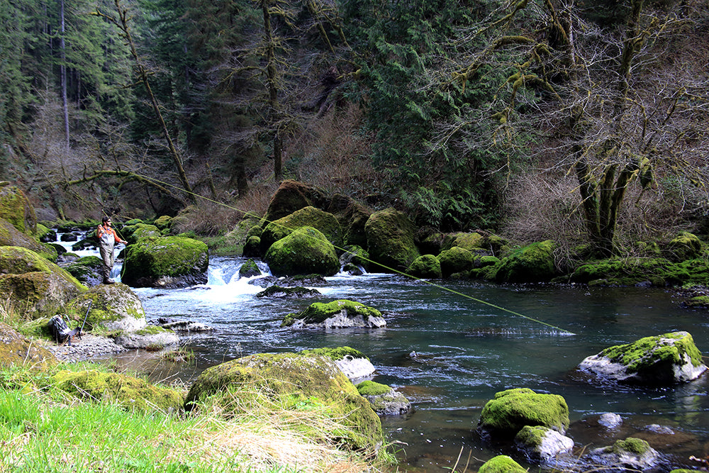 Seattle Fly Fishing Report | February 10, 2024 | Crickets – Emerald ...