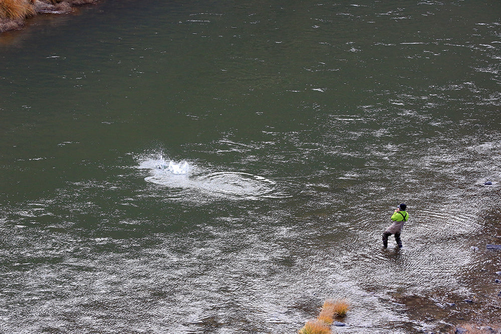 Seattle Fly Fishing Report | January 2, 2026 | Let's Go Fishing ...