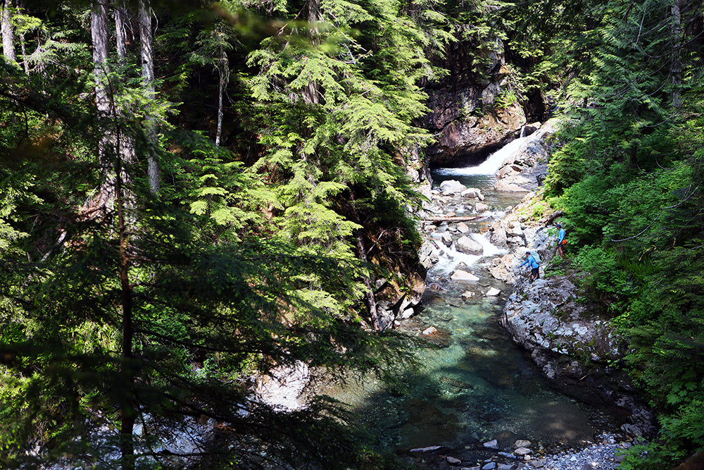 Seattle Fly Fishing Report | July 7, 2023 | Perfection Doesn't Last Lo ...