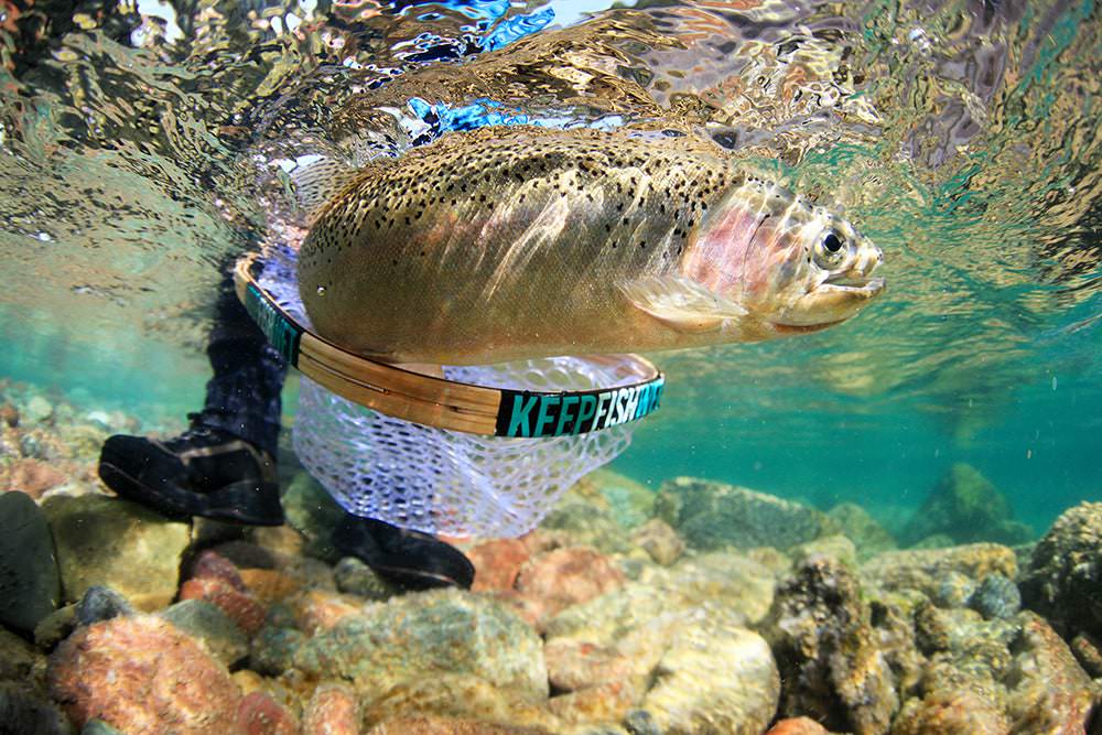 Seattle Fly Fishing Report | October 4, 2020 | Fall Options – Emerald ...