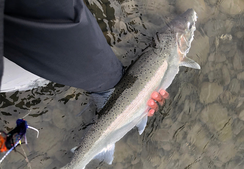 Seattle Fly Fishing Report | April 12, 2024 | It's Been a Season ...