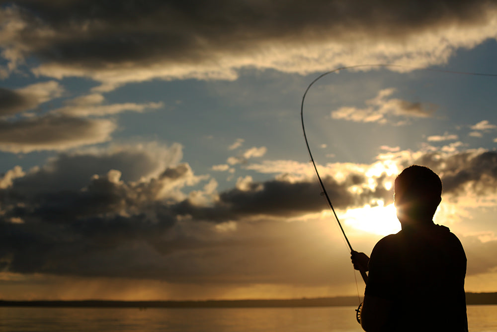 Seattle Fly Fishing Report | October 10, 2025 | Rain Cometh – Emerald ...