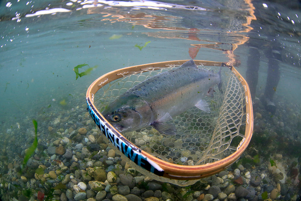 Seattle Fly Fishing Report | July 23, 2025 | Make Sure It's Pink ...