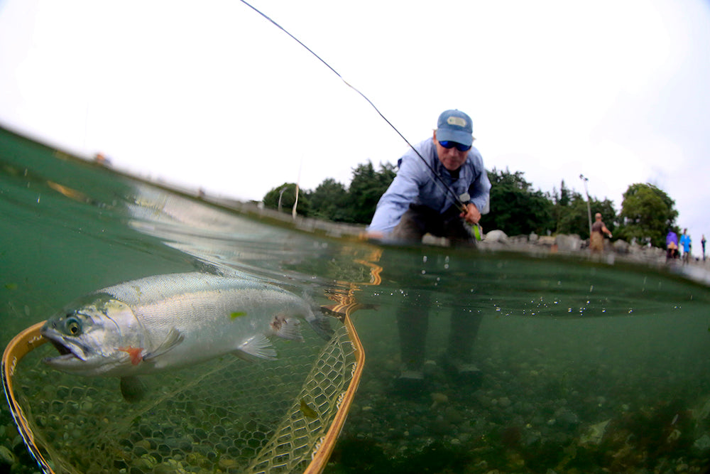 Seattle Fly Fishing Report | August 18, 2023 | Mom's Birtday Fish ...