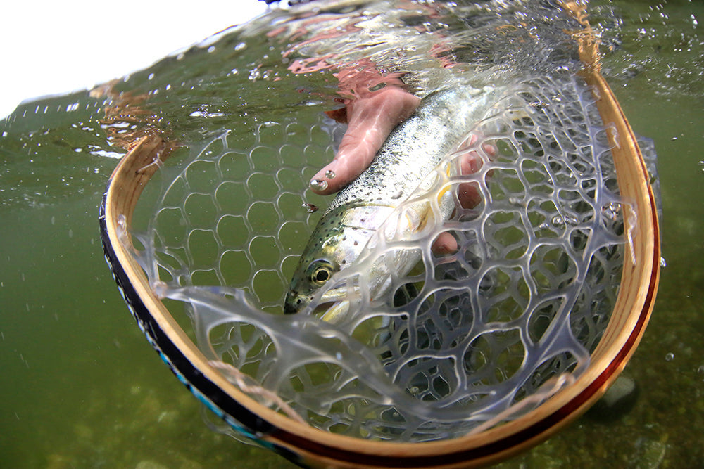 Seattle Fly Fishing Report | March 21, 2025 | Yes, Spring Please ...