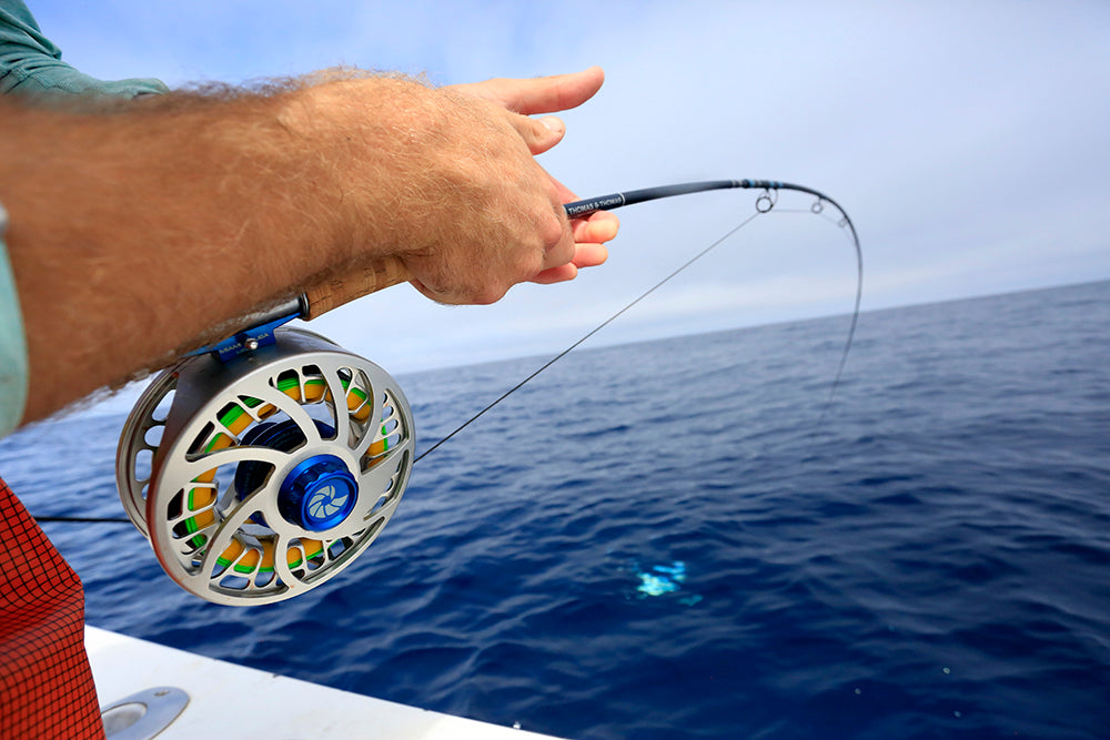 Seattle Fly Fishing Report | July 6, 2022 | And It's All On! – Emerald ...