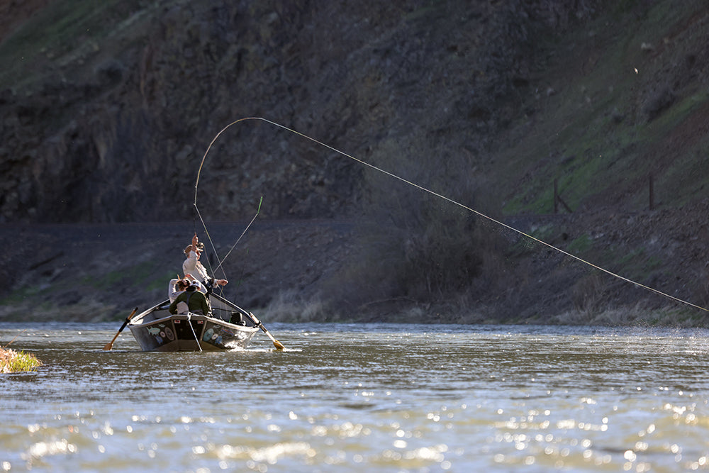 Seattle Fly Fishing Report | March 29, 2022 | Holy Sunshine Batman ...