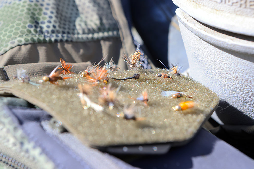 Seattle Fly Fishing Report | May 2, 2025 | Dry Fly Time – Emerald Water ...