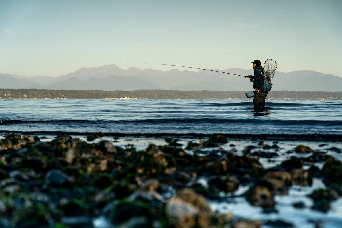 Seattle Fly Fishing Report | September 9, 2022 | Smoke n' Coho ...